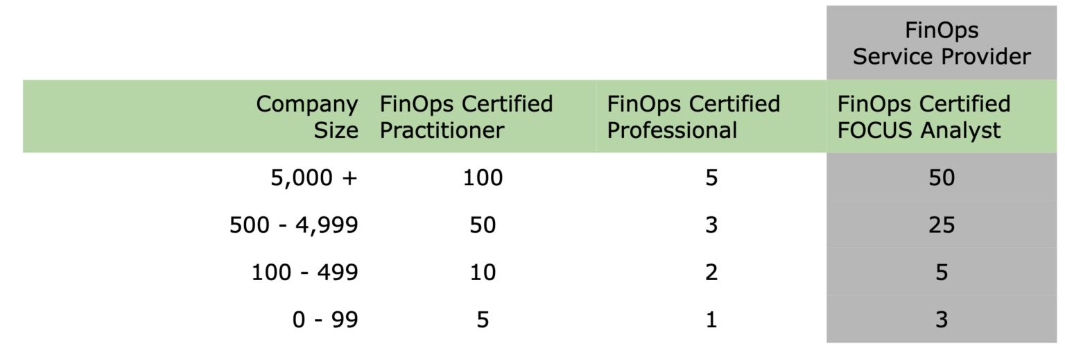 FinOps Certified Service Provider