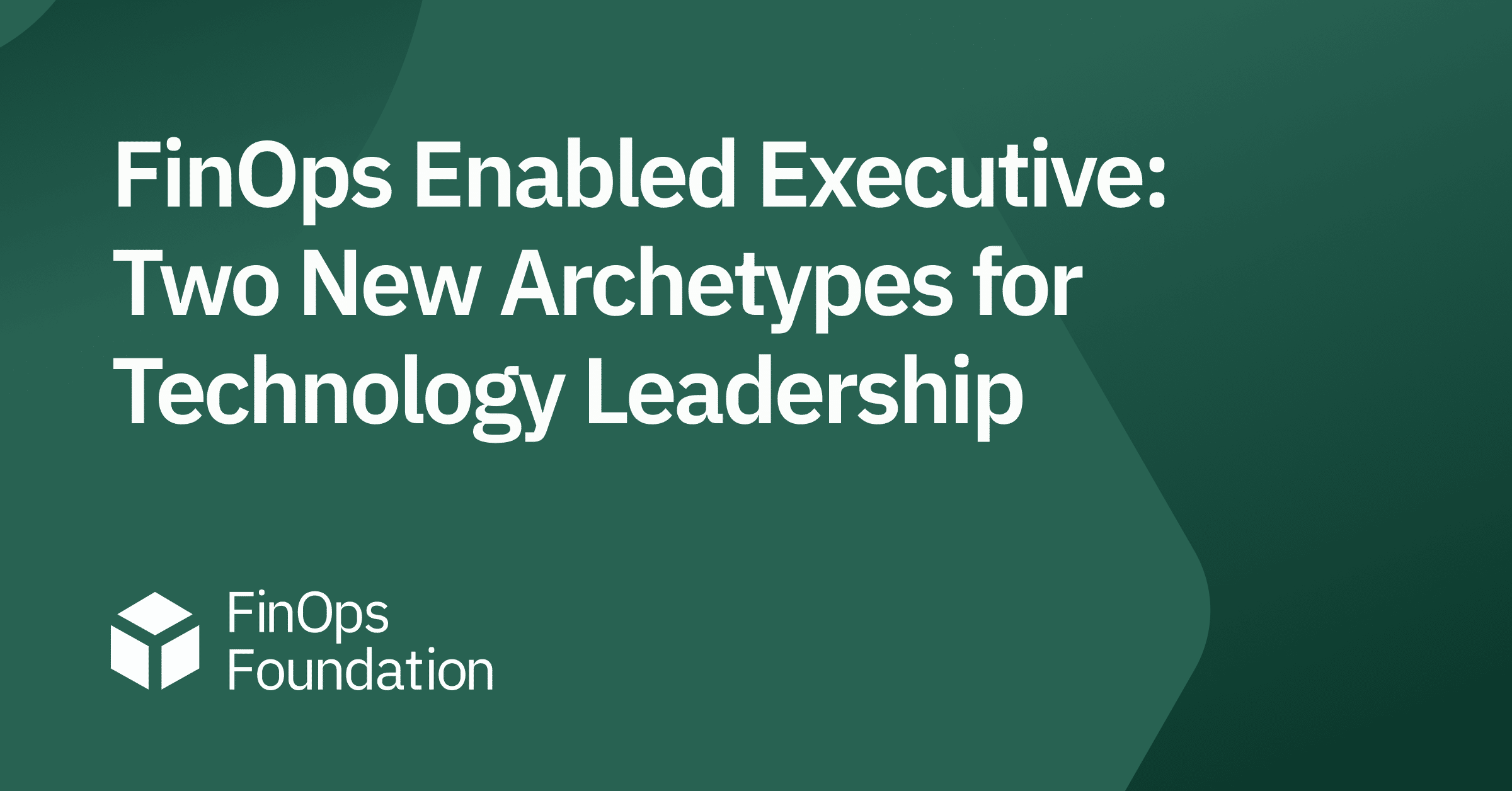 FinOps Enabled Executive: Two New Archetypes for Technology Leadership ...
